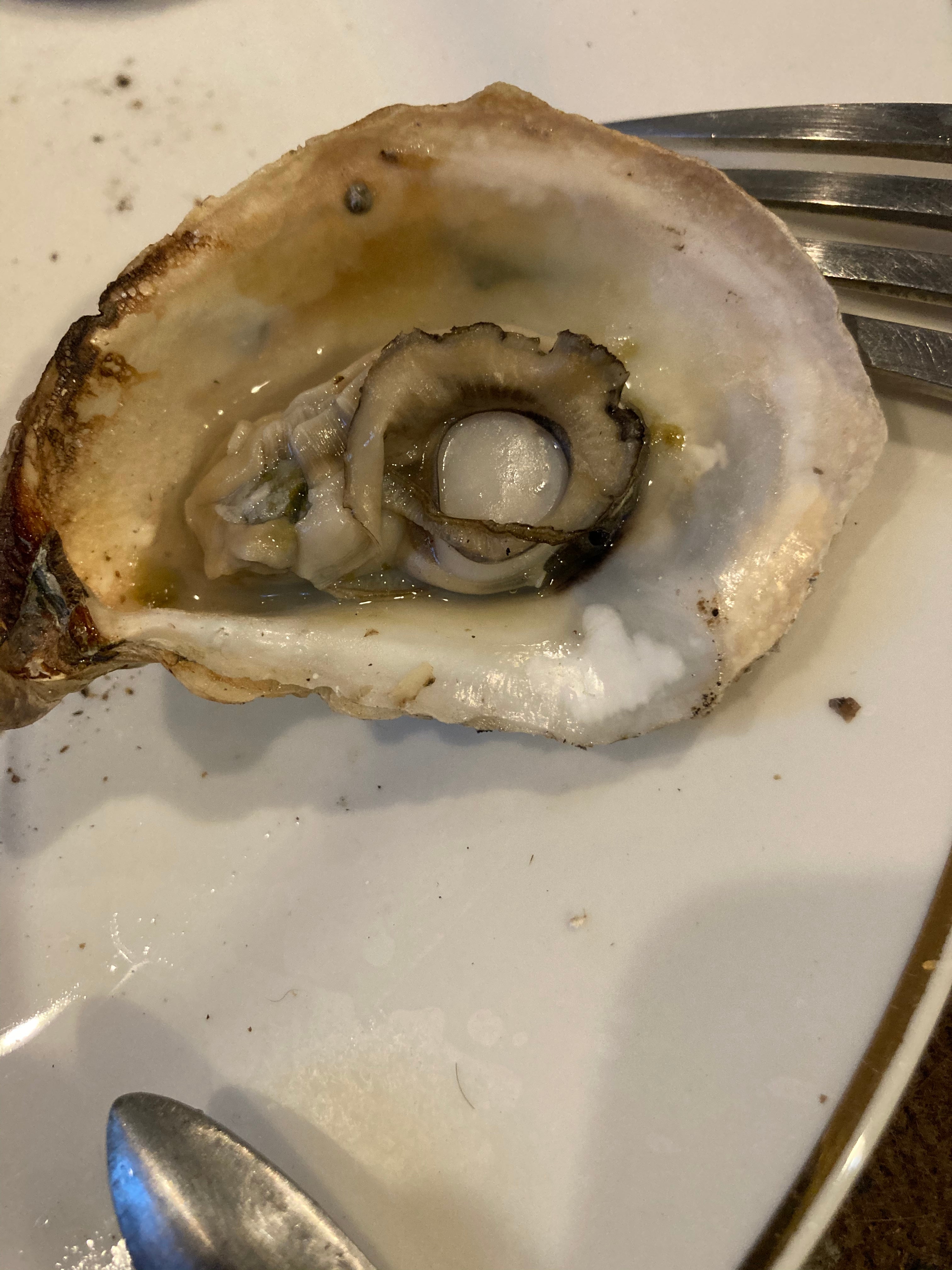 Oysters – Sticky Bottom Oyster Company, Inc.